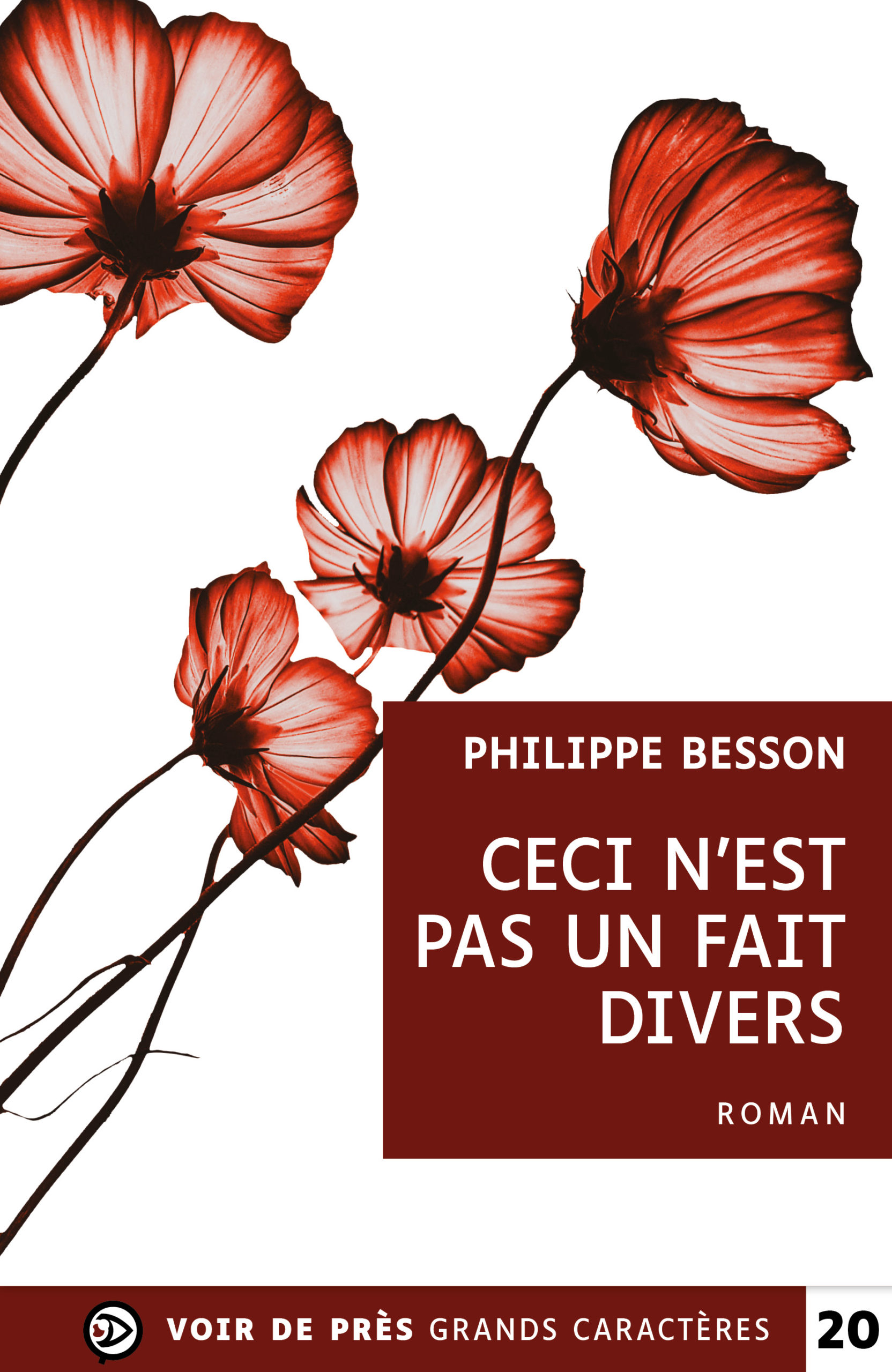 Ceci n'est pas un fait divers - Éditions Voir de Près