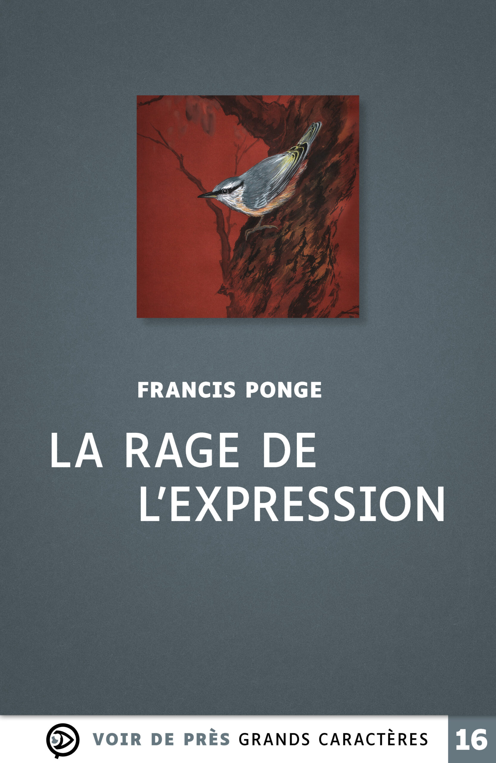 La Rage de l'expression - Éditions Voir de Près